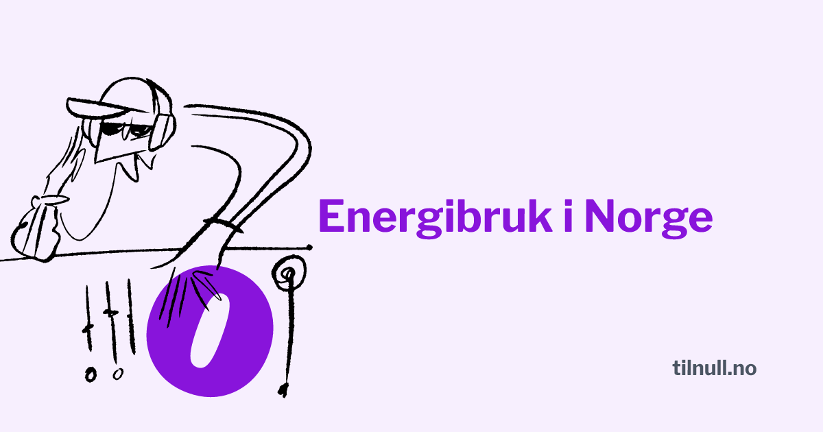 Energibruk i Norge